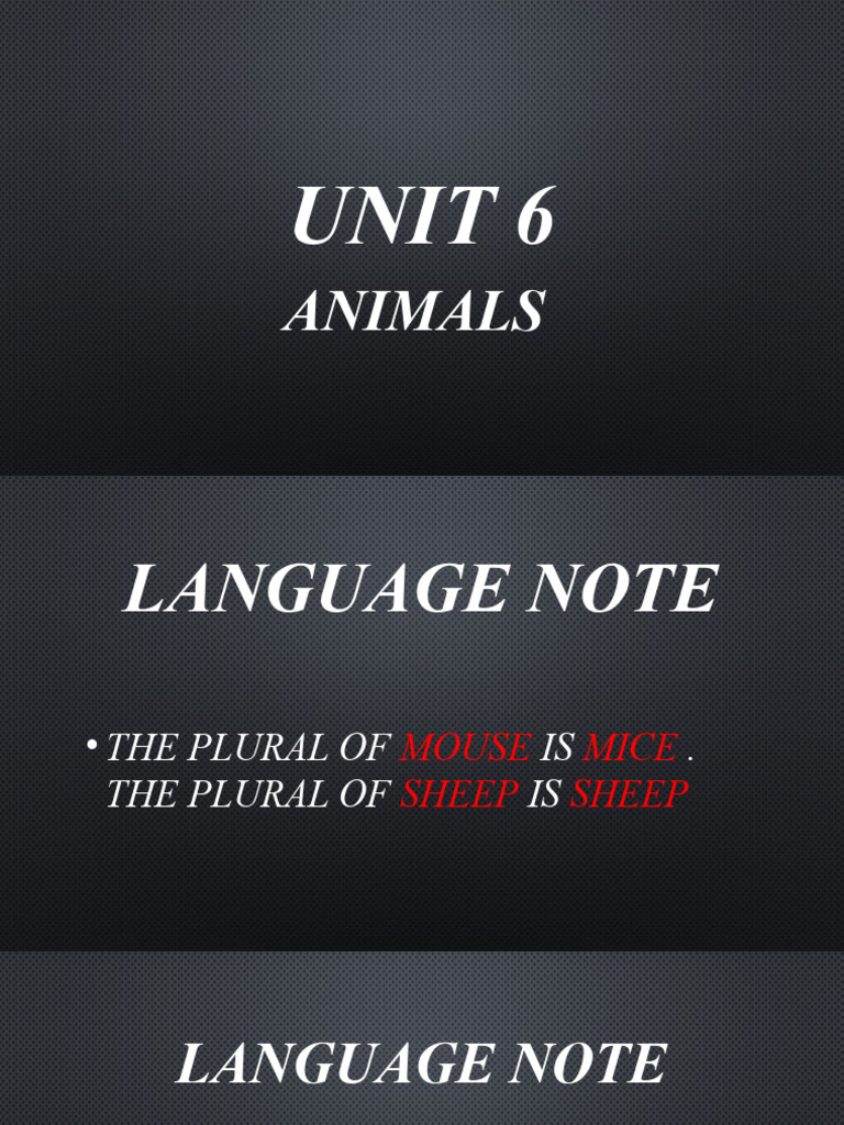 Summit 1 Unit 6and 7 | PDF | Plural | Bison