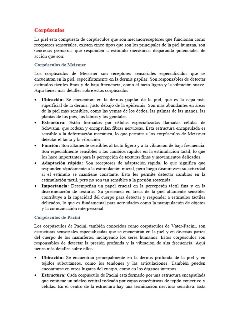 Corpúsculos | PDF | Piel | Sistema somatosensorial