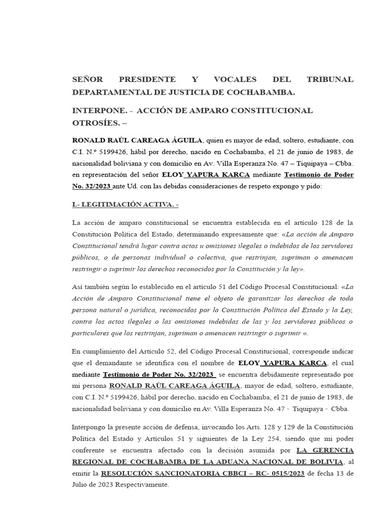Accion de Amparo Constitucional - Eloy | PDF | Debido al proceso | Caso ...