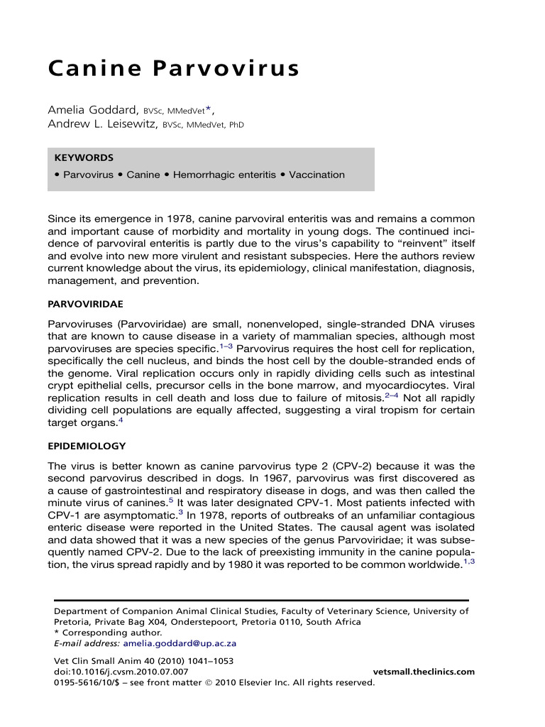 Canine Parvovirus | Download Free PDF | Intravenous Therapy | White ...