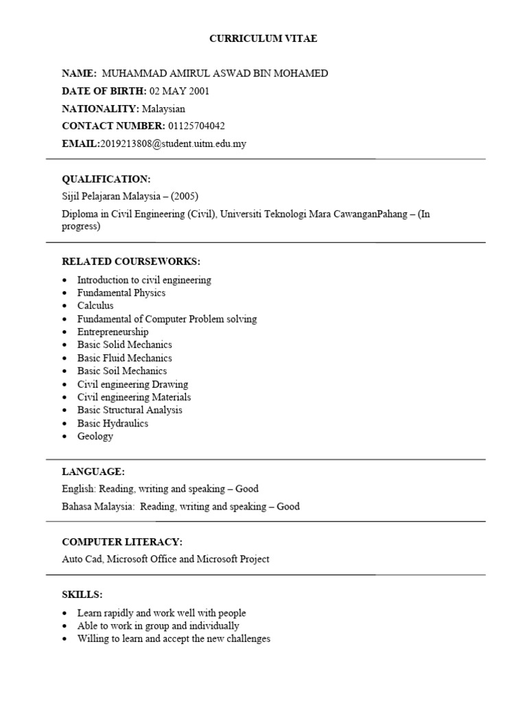 CV of Muhammad Amirul Aswad | PDF
