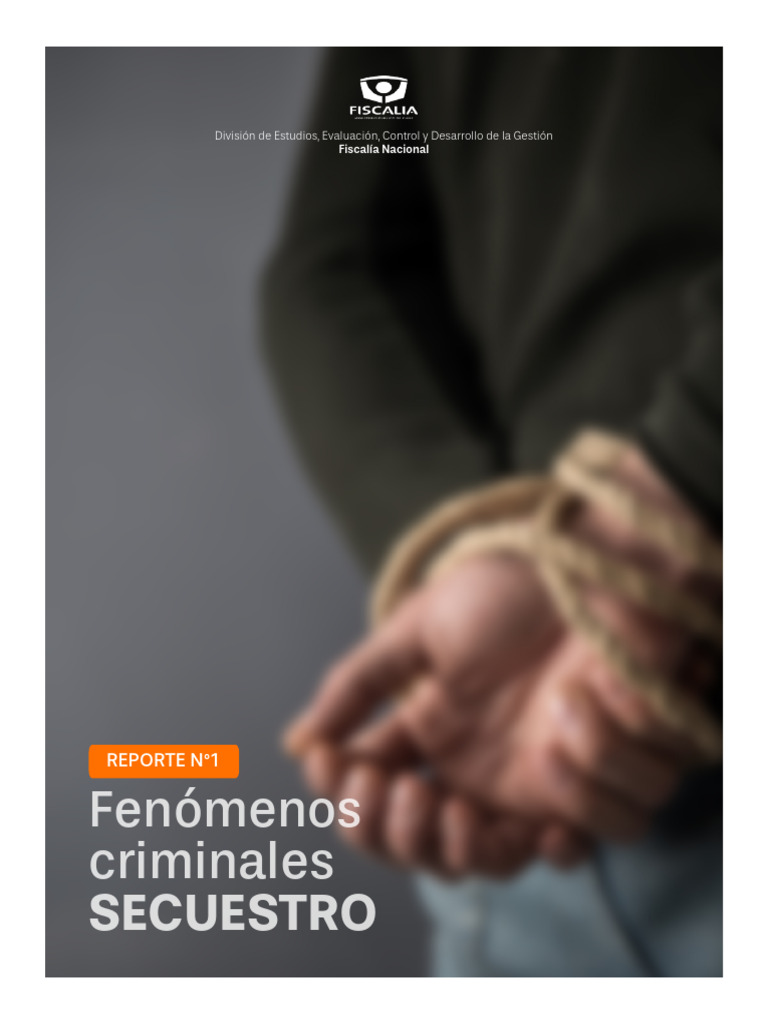 Informe Secuestro | PDF | Secuestro | Castigos