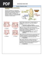 Brandt Andrews | PDF | Partería | Parto