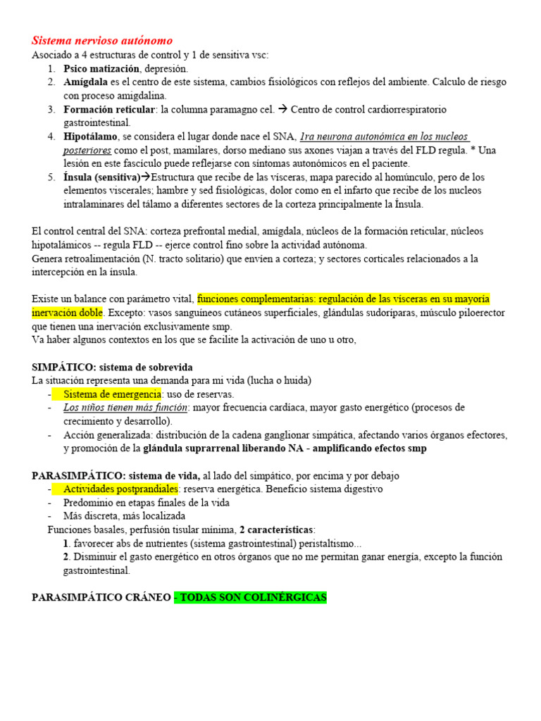 5 Sistema Nervioso Autónomo Pdf Anatomía Humana Neuroanatomía