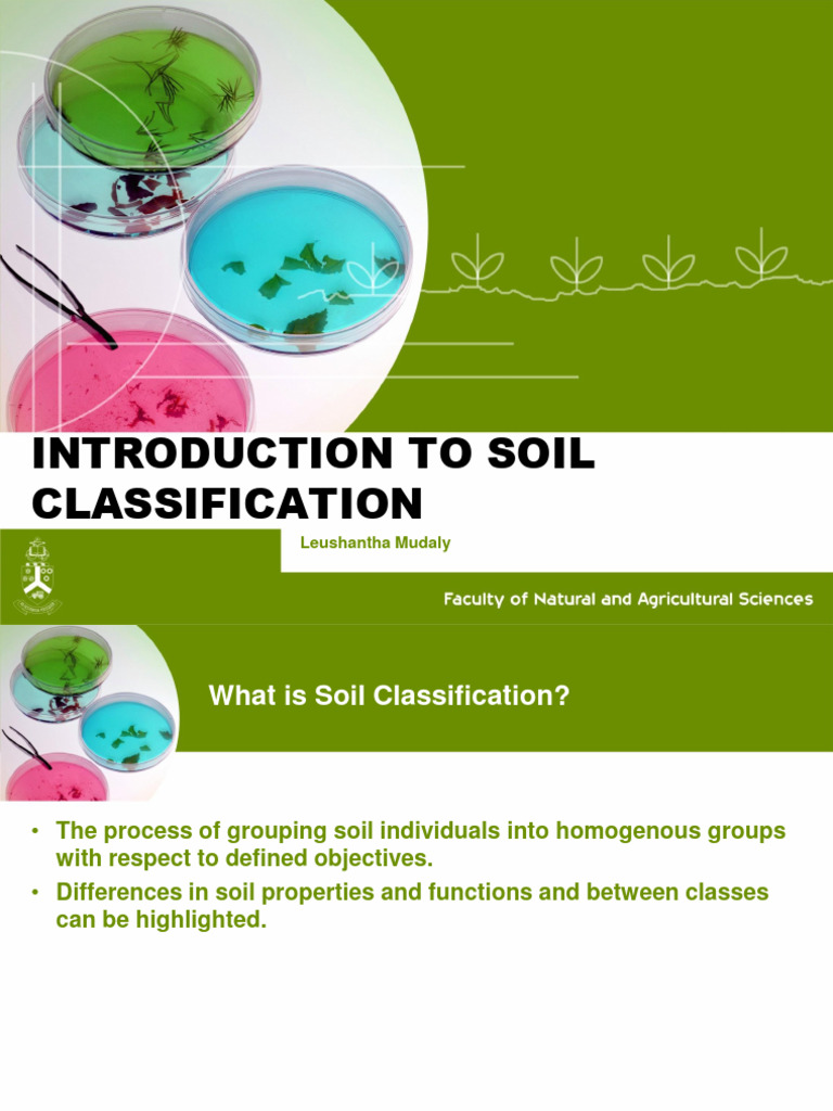 Theme 11 Soil Classification - Updated | PDF | Soil | Physical Geography