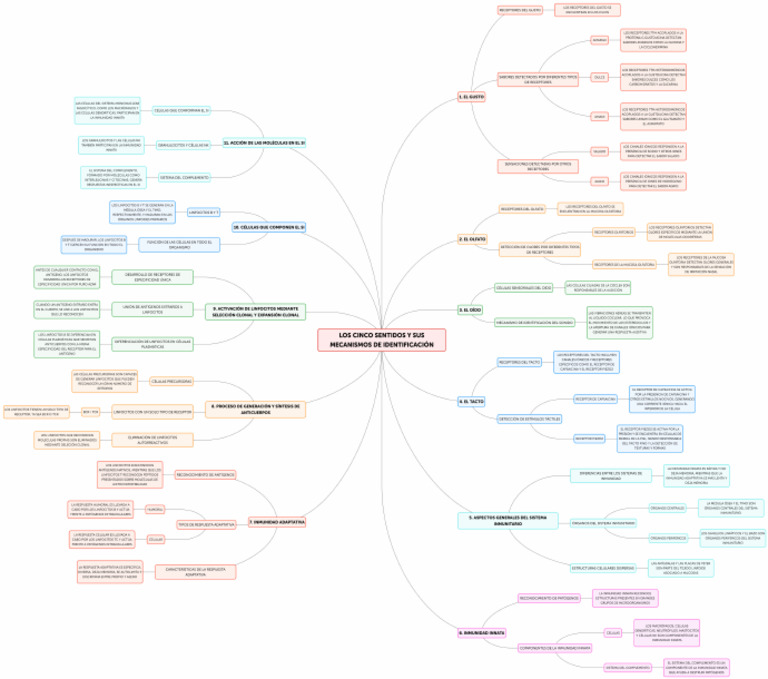 Los Cinco Sentidos y Sus Mecanismos de Identificación | PDF