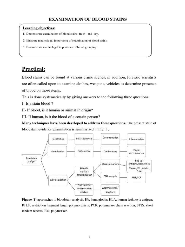 10 - Examination of Blood Stains | PDF | Blood Type | Hemoglobin