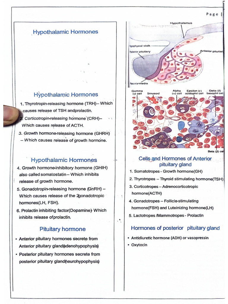 Physio Endocrin Item 2 Jakaria | PDF