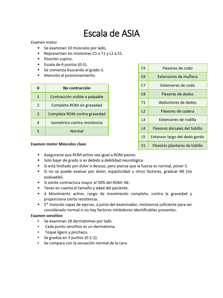 Guia Escala de ASIA PDF | PDF | Sistema musculoesquelético | Sistema nervioso