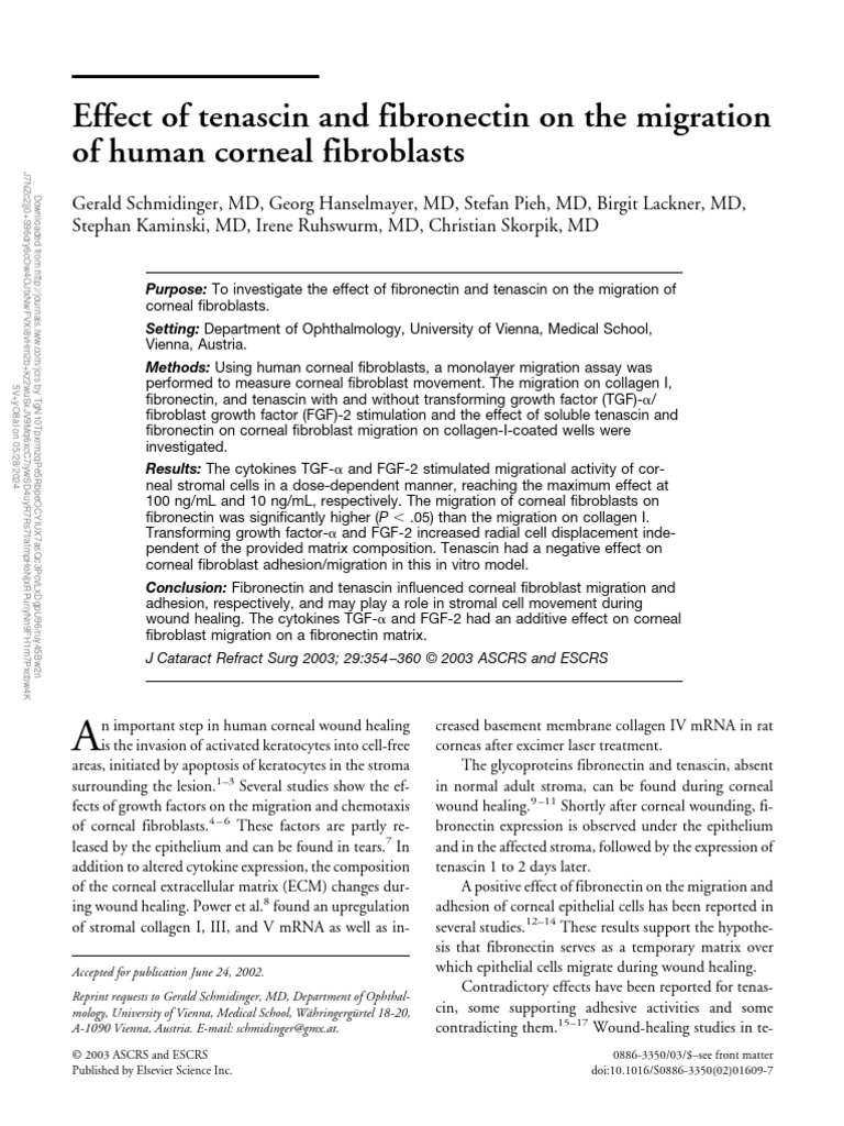 Tenascin and Fibronectin in Corneal Fibroblast Migration | PDF | Wound ...