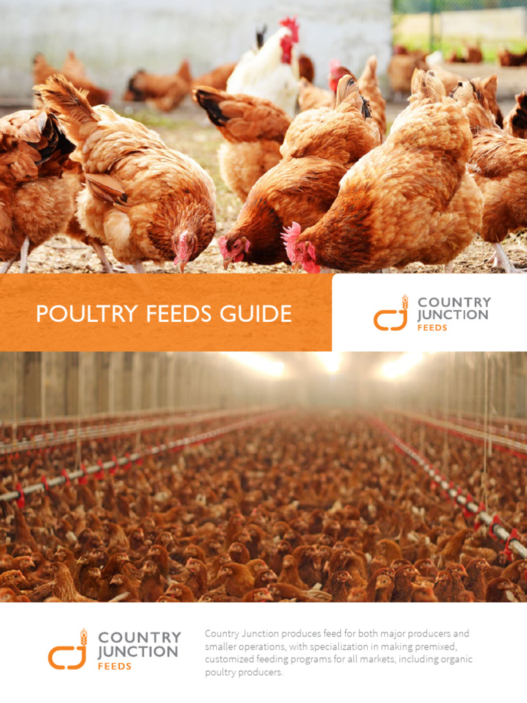 CJF Poultry Brochure Web | Download Free PDF | Poultry | Chicken