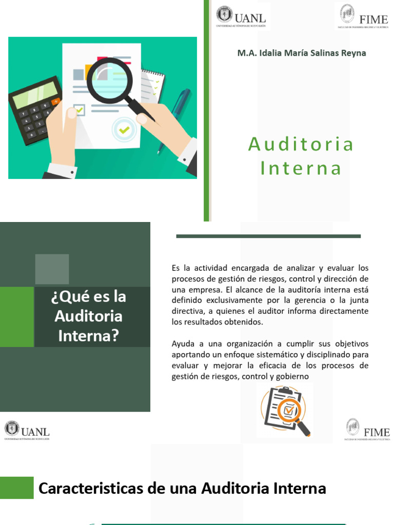 Auditoria Interna | PDF | Auditoría | Business