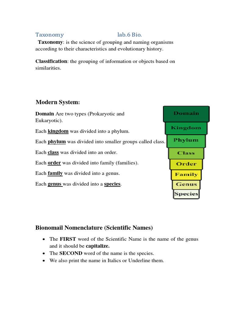 3-Taxonomy and Classification | PDF | Cell (Biology) | Bacteria