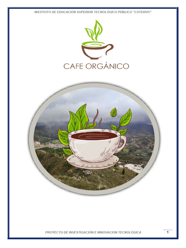 Proyecto de Investigación e Innovación Tecnológica | PDF | café | Agricultura