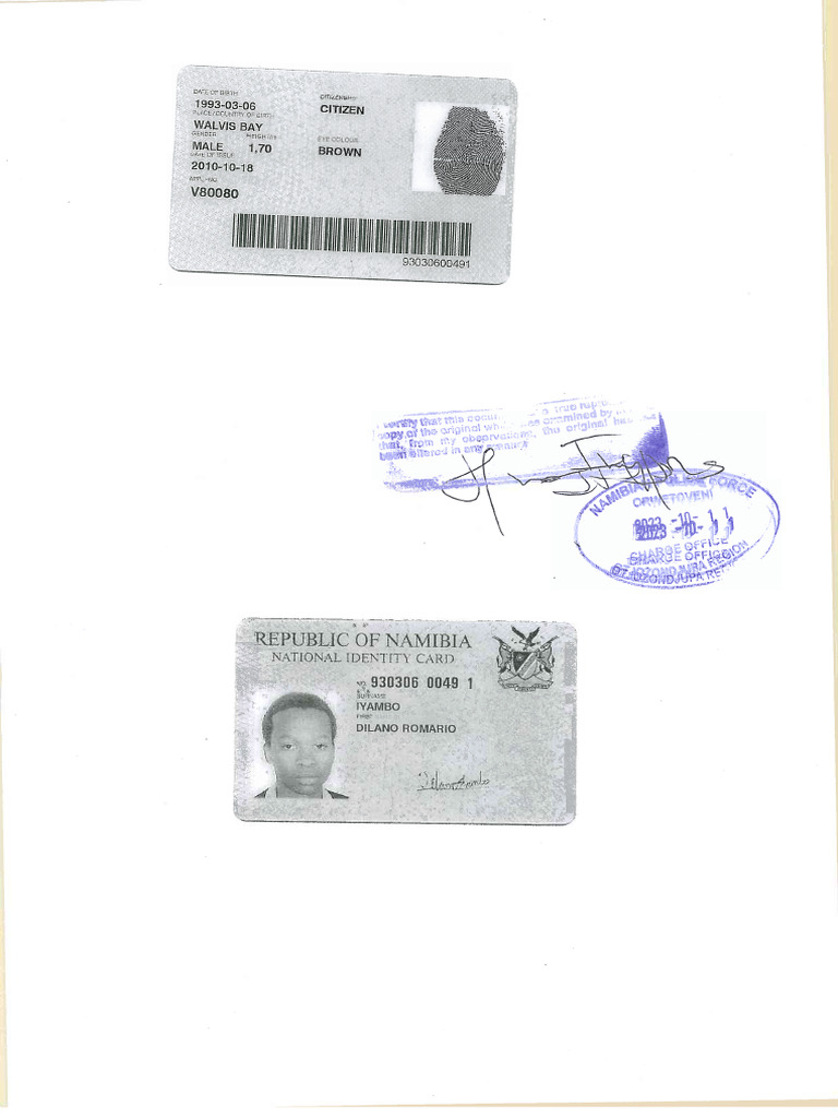 Basic Safety and Identification Documents | PDF