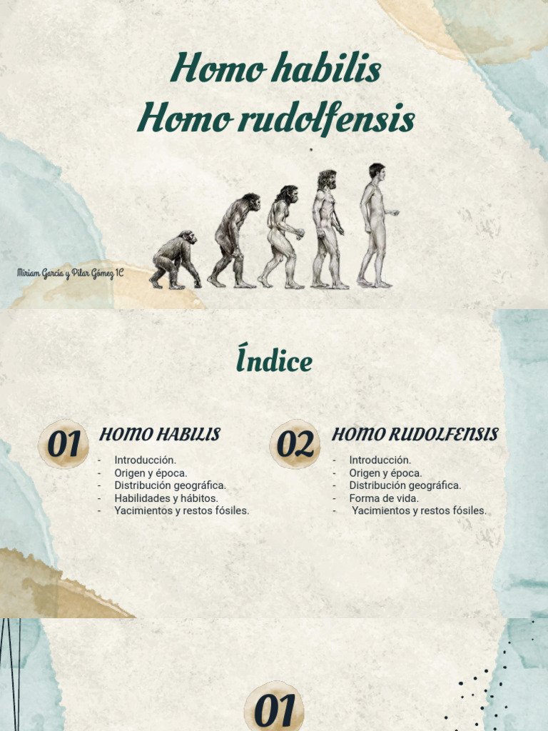 Homo Habilis y Homo Rudolfensis. | PDF | Homo | Paleoantropología