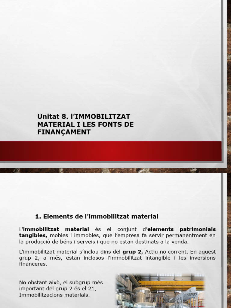 Ud8 - Immobilitzat | PDF