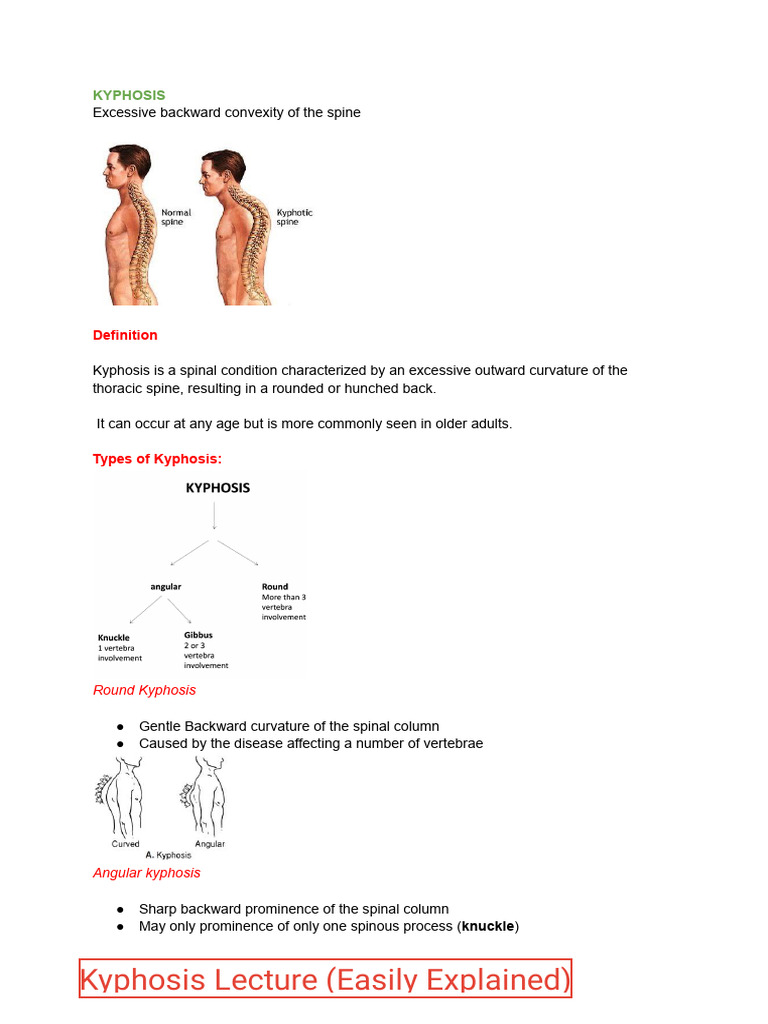 Kyphosis (Ortho) | PDF