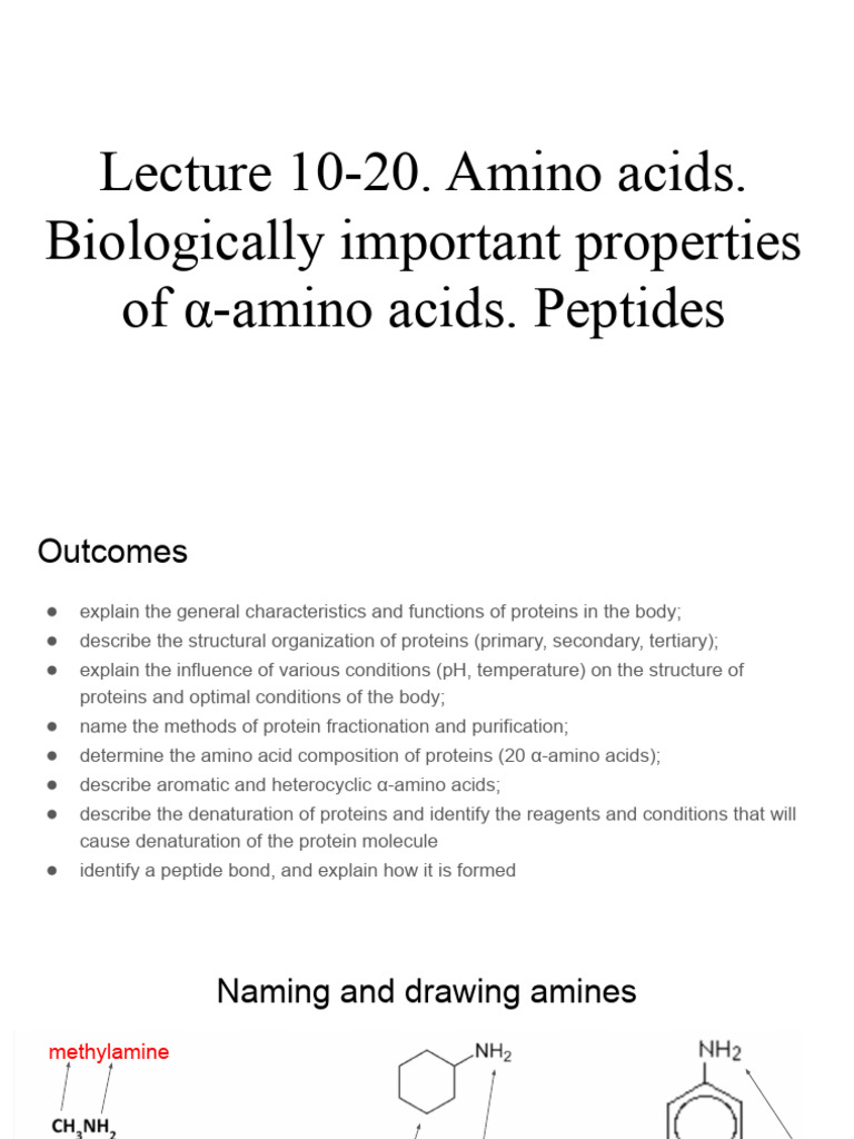 10-20 Amines - Amino Acids. Peptide PPTX | PDF | Amine | Proteins