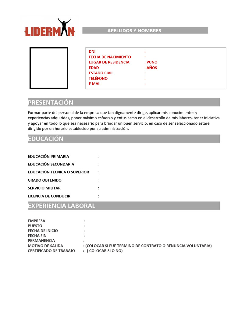 Formato de CV Avp Liderman | PDF | Documento de identidad | Business