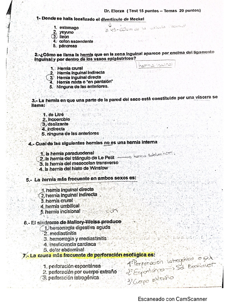 Ciru (Mezcla Preguntas) | PDF