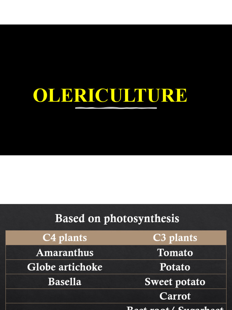 Lecture 6 Horticulture | PDF | Broccoli | Cauliflower