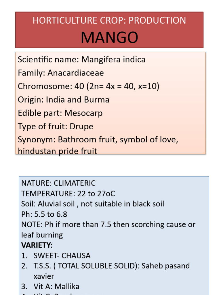 Horticulture Crop | PDF