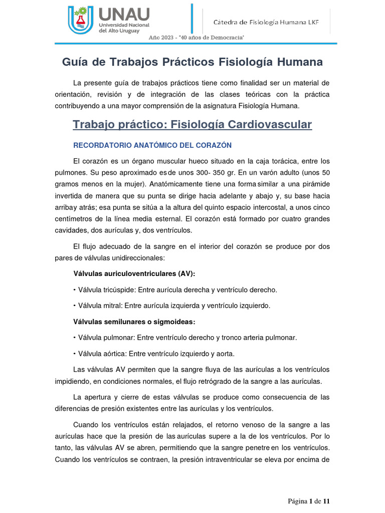 Guia TP Cardiaco 2023 | PDF | Electrocardiografia | Corazón