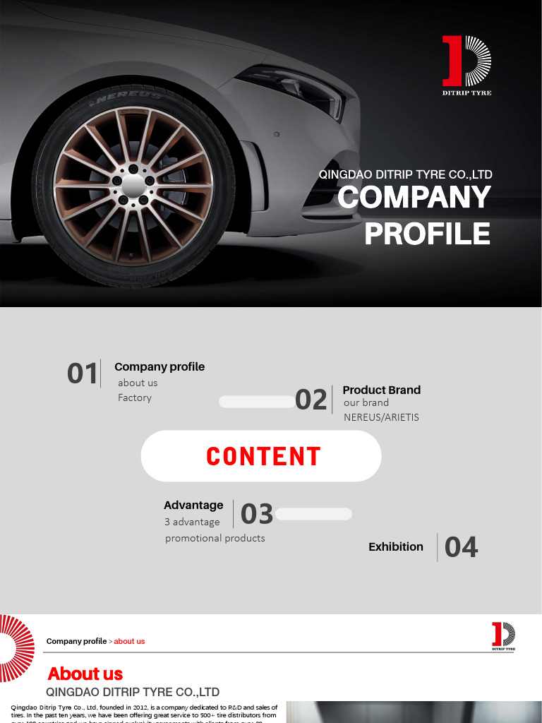 Duction 2023 | PDF | Tire | Brand