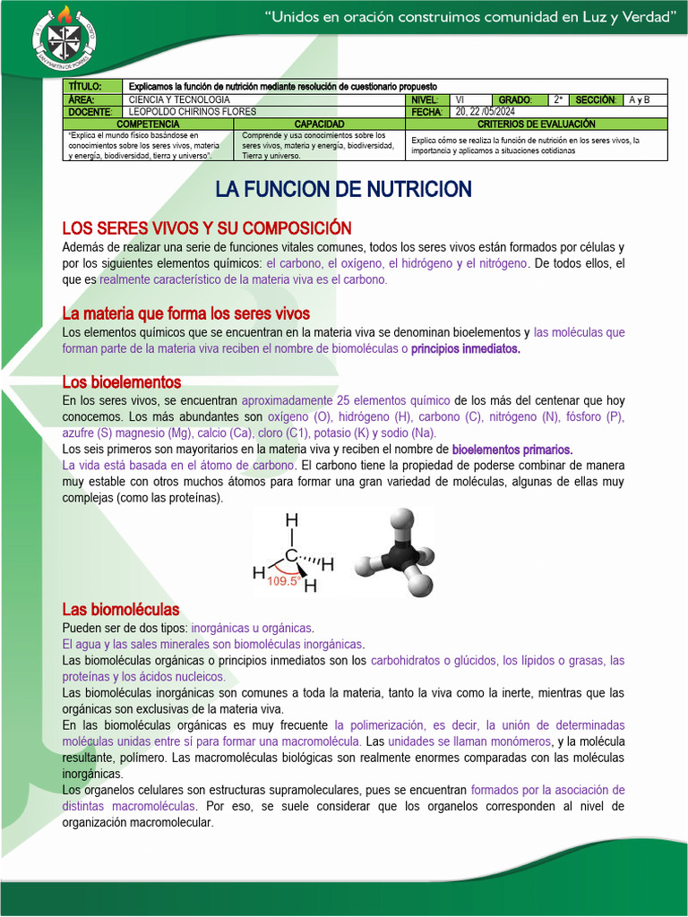 La Funcion de Nutricion | PDF | Biomoléculas | Organismos