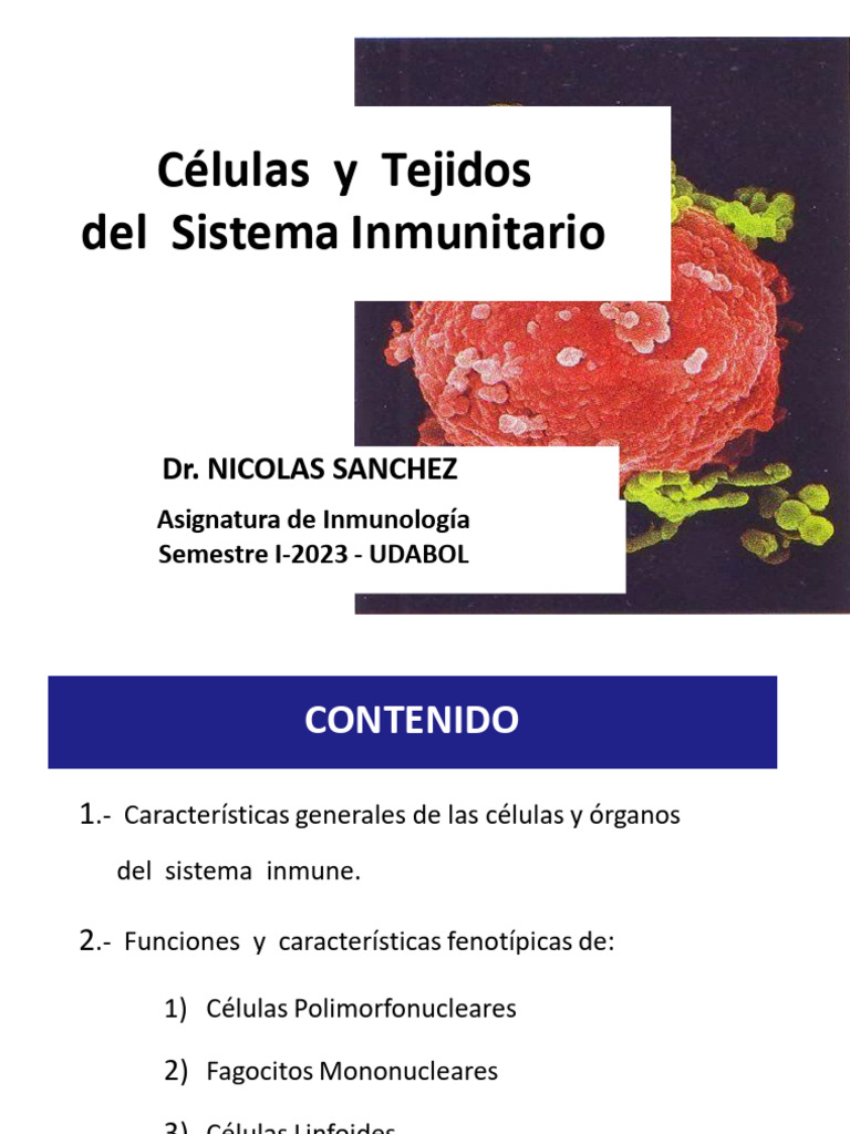 Celulas y Tejidos Del Sistema Inmunitario | PDF | Linfocitos | Célula T
