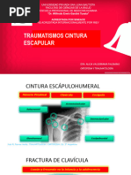 Fractura de Escápula: Diagnóstico y Tratamiento | PDF | Hombro ...