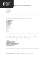 Guia do Catch Up Wizard | PDF | Lição