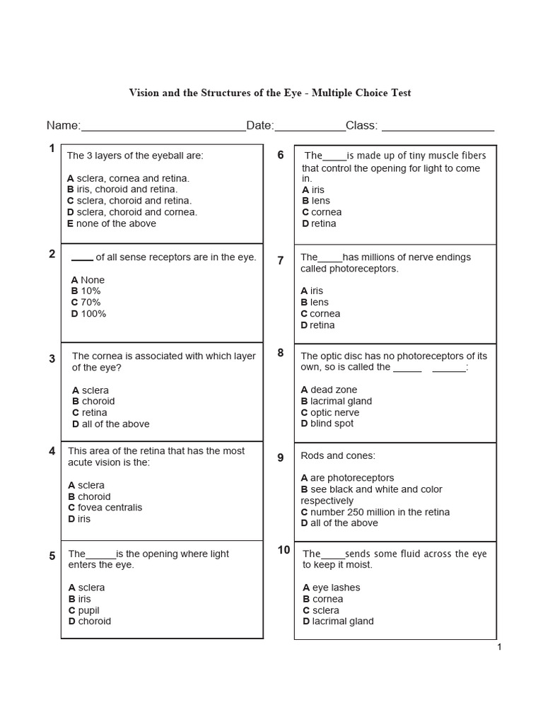 Eye Structure Quiz for Students | PDF | Eye | Retina