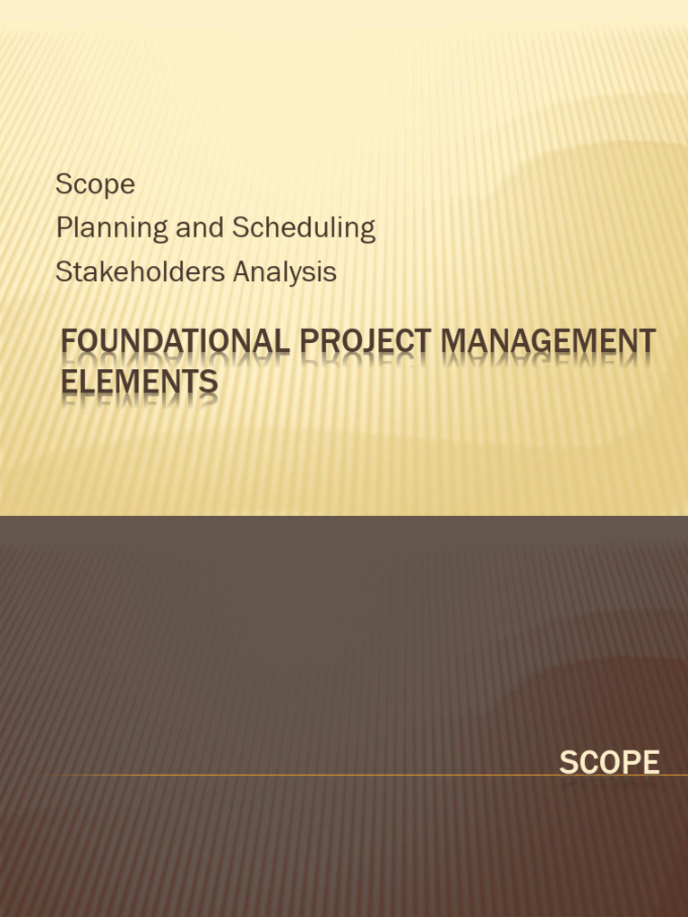 Foundational Project Management Elements | PDF | Project Management ...