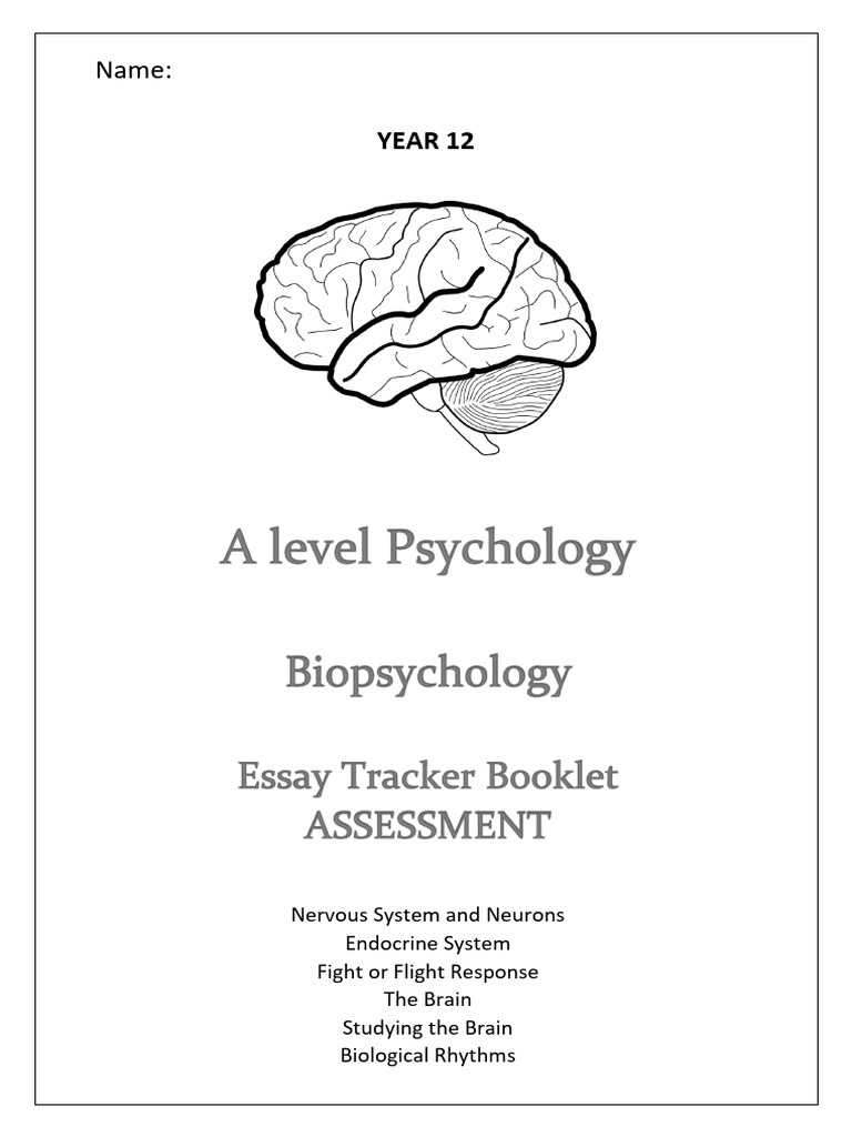 Biopsychology Pack | PDF | Nervous System | Lateralization Of Brain ...