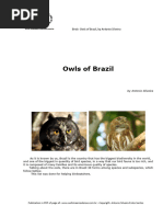 Owl Babies - Waddell, Martin Benson, Patrick, Ill | PDF | Birds Of Prey