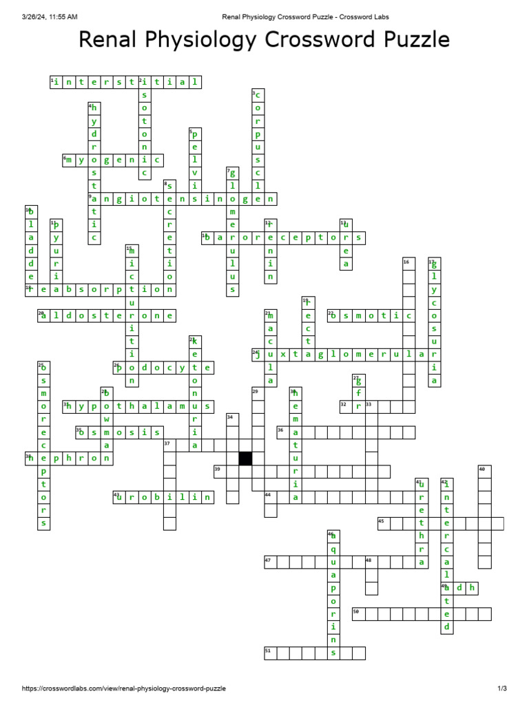 Renal Physiology Crossword Puzzle | PDF | Kidney | Physiology