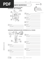 Le Bilan de La Crase Sanguine | PDF | Grossesse | Coagulation