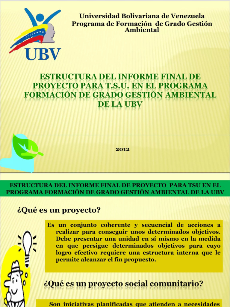 Presentación Proyecto | PDF