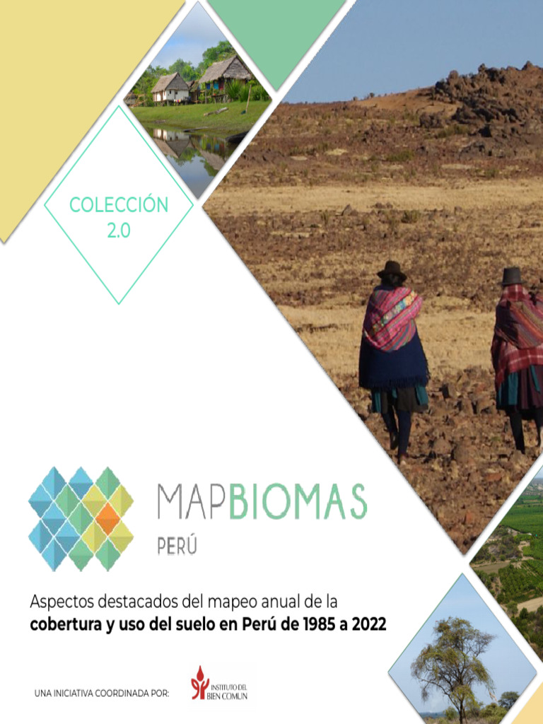 1 ES FactSheet Mapbiomas Peru 2.0-1080x1080px | PDF | Perú | Ciencias ...