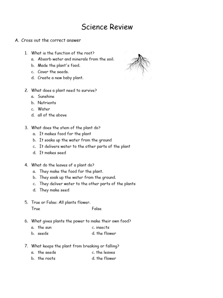 P3 Science | Download Free PDF | Foods | Plants