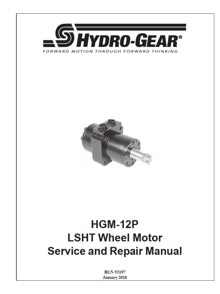 HGM-12P LSHT Motor Repair Guide | PDF | Mechanical Engineering