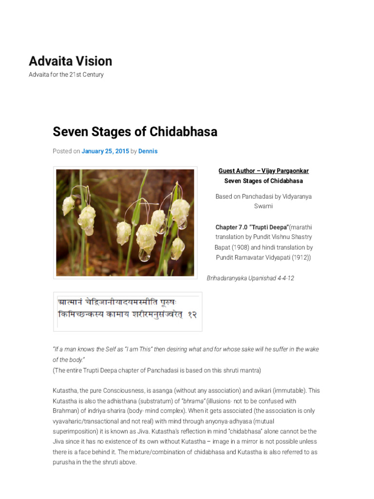 Seven Stages of Chidabhasa - Advaita Vision | PDF | Advaita Vedanta ...