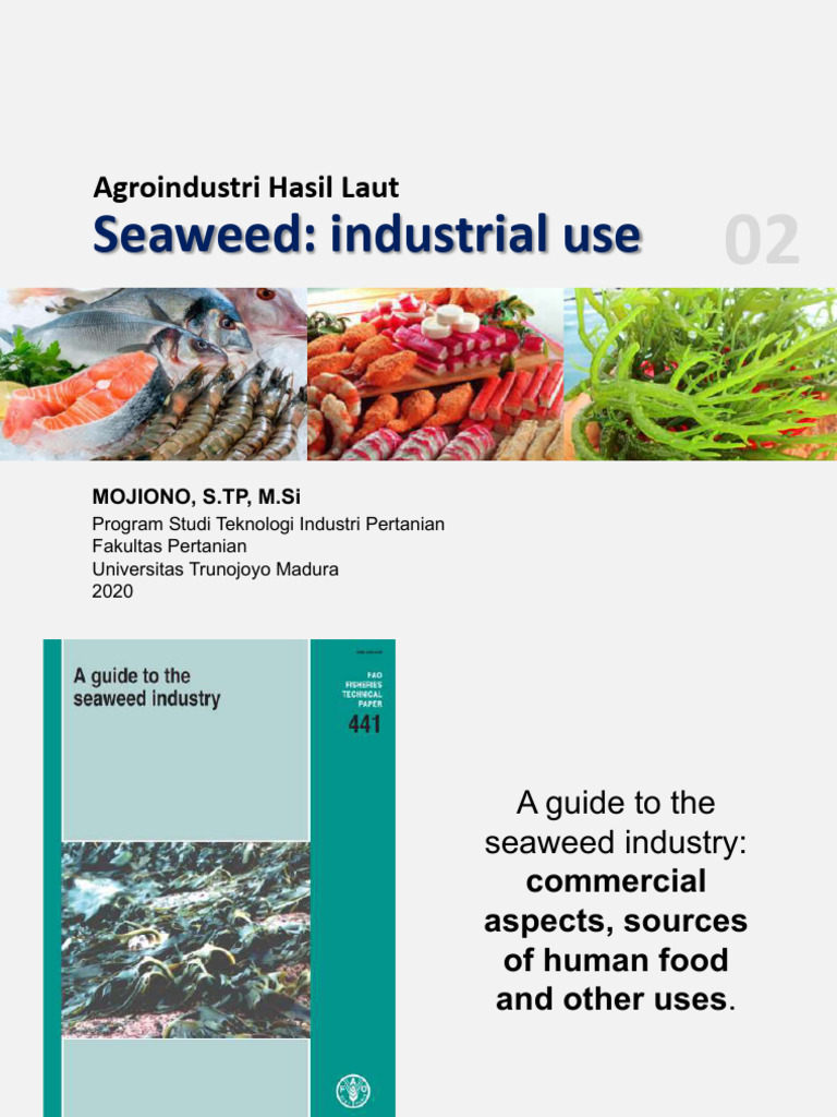 Seaweed Foo | PDF | Seaweed | Seafood