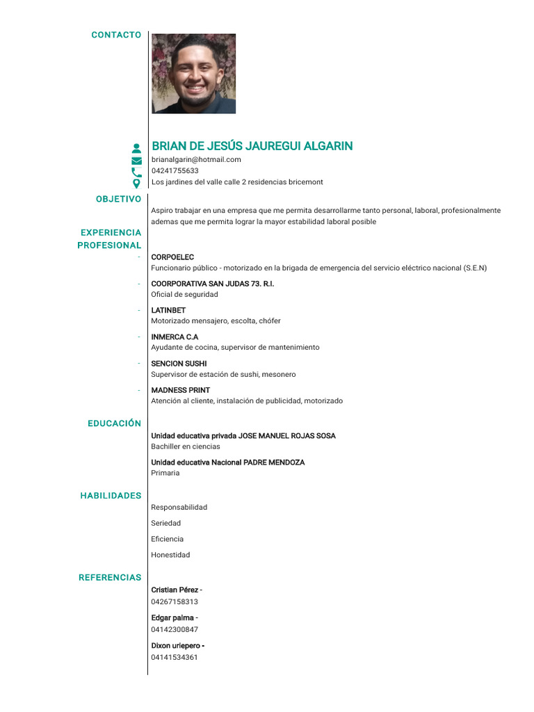 Perfil Profesional de Brian Jauregui | PDF