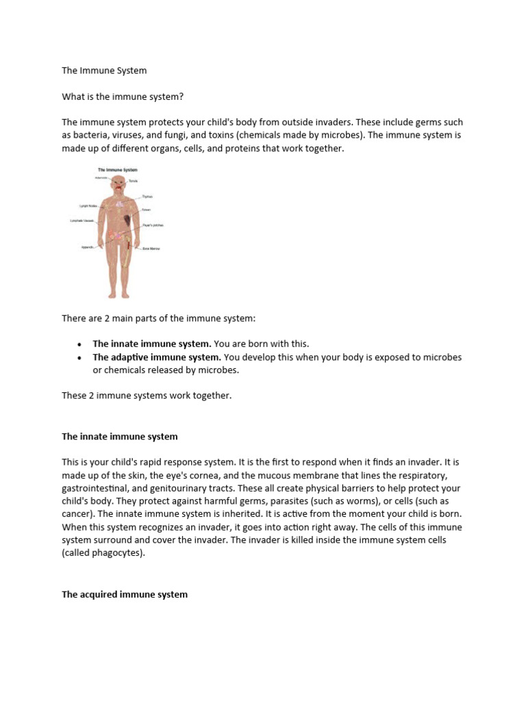 The Immune System | PDF | Immune System | Lymphatic System
