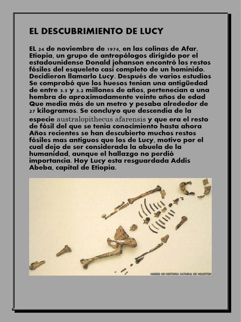 El Descubrimiento de Lucy | PDF