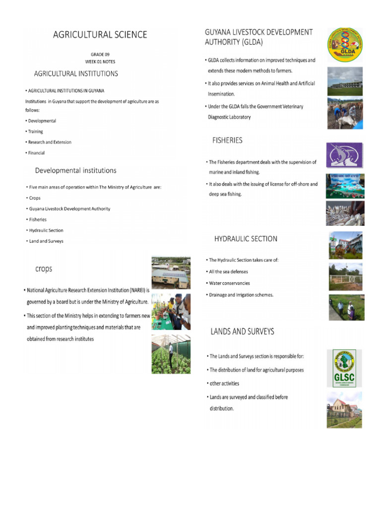 Agri 3rd Form Weeks 1-7 Notes | PDF