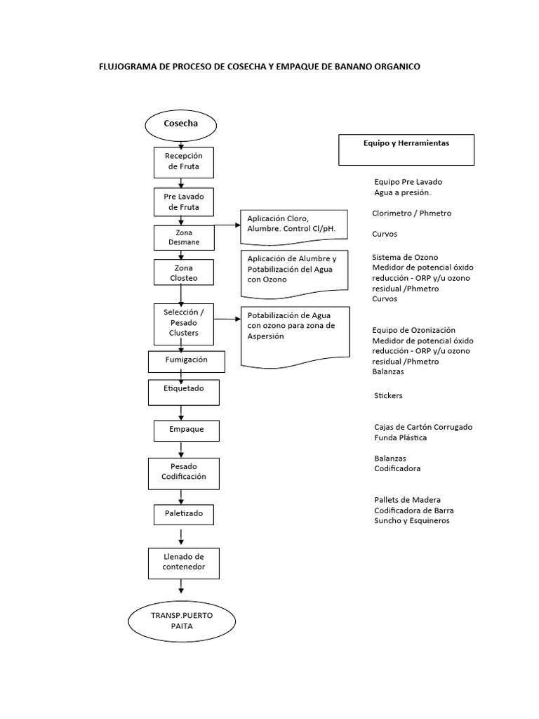 Etapas del Proceso de Banano Orgánico | PDF